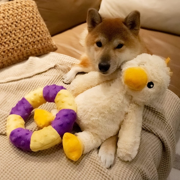 Dog | Yoyo Stuffed Soothe Large Plush Dog Squeaky Toy Duck With Crinkle Chew Ring 15 | Poshmark